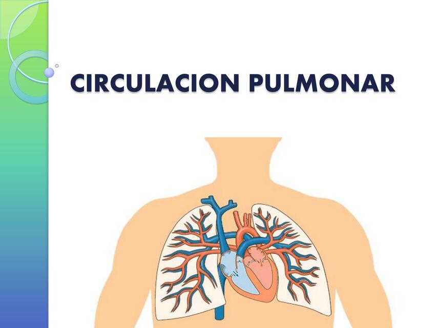 Circulacion pulmonar | Celeste Codutti | uDocz