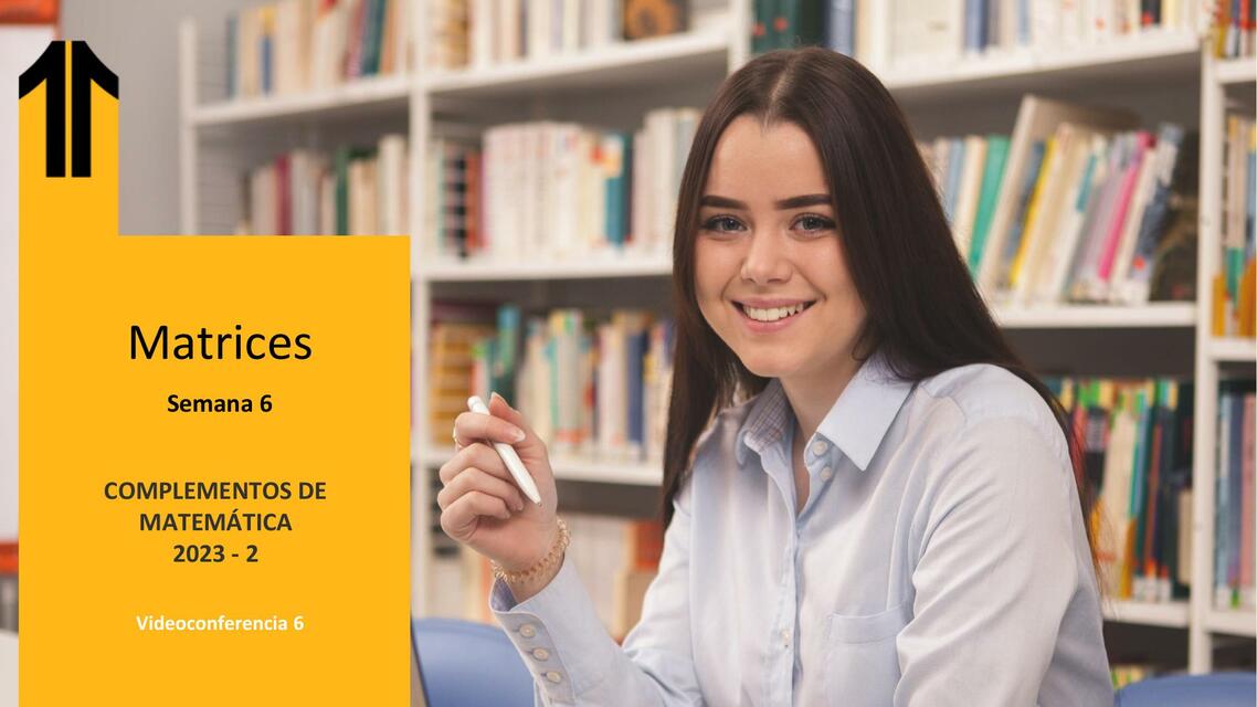 S6 PPT Matrices | Gabriel Reaño | uDocz