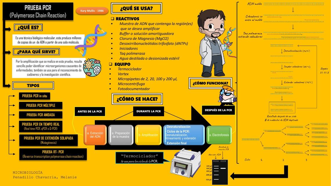 PCR | Melanie Penadillo | uDocz