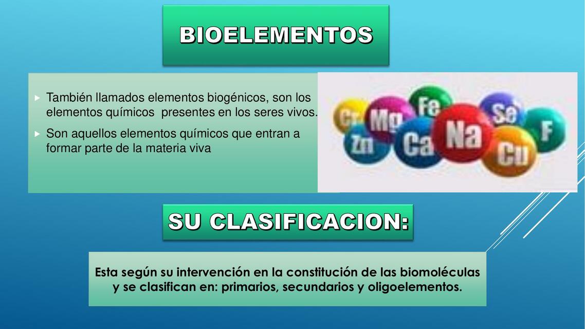 Bioelementos | ingrid | uDocz