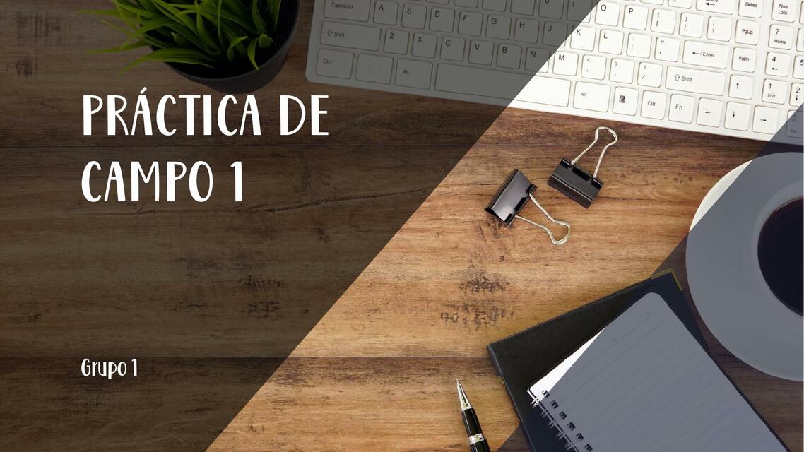 PC1 MACRO2 GRUPO1 | Allison Margiori | uDocz