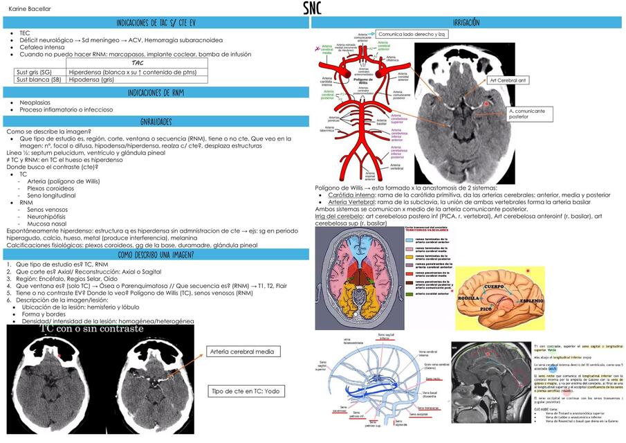 SNC 1 y 2 | Karine Bacellar | uDocz
