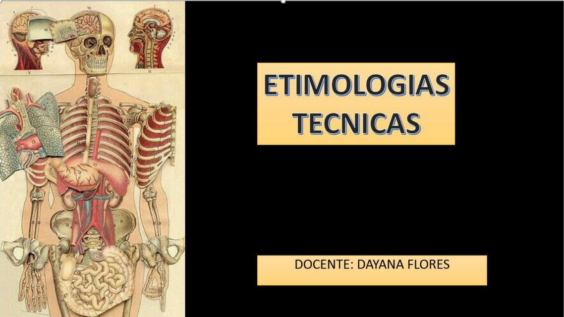 ETIMOLOGIAS TECNICAS | Dayana | uDocz