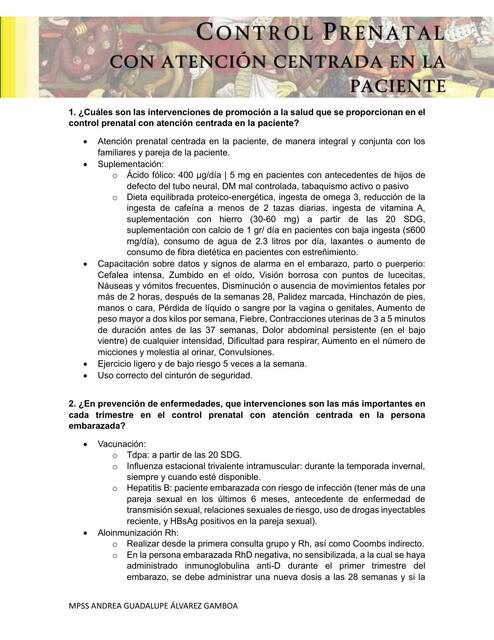 GPC ATENCIÓN PRENATAL CENTRADA EN LA PACIENTE | Andrea Álvarez Gamboa ...