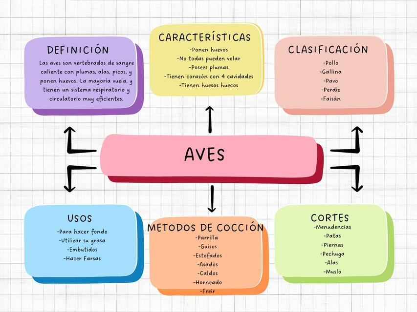Mapa conceptual de aves | Mafer | uDocz
