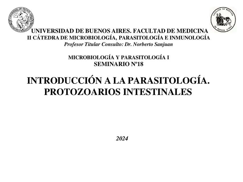 SEMINARIO N 18 ACTUALIZADO | aracellys | uDocz