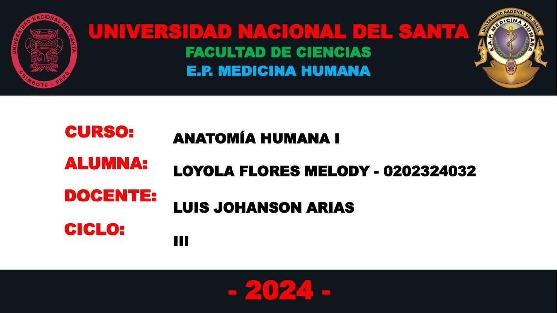 HUESOS DEL MIEMBRO SUPERIOR (CARAS, BORDES, INSERCIONES Y LIGAMENTOS) | Melody Loyola Flores | uDocz