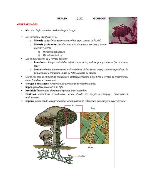 Micrologia C3 | Docsity | uDocz