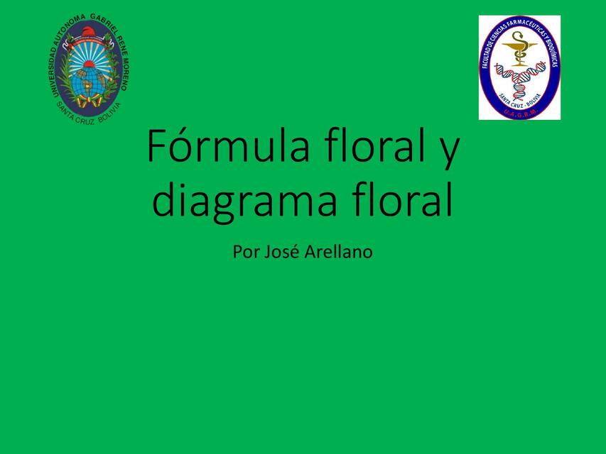 Fórmula floral y diagrama floral bot far | Heimar Cuaquira | uDocz