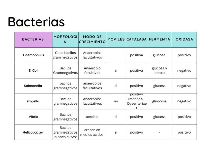 Bacteria | Arantza Isabel Ubilla Bajaña | uDocz