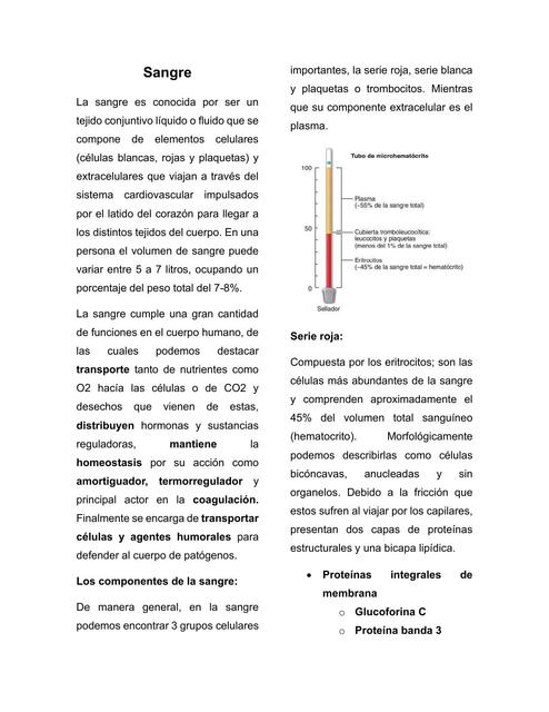 Sangre | Sinencio | uDocz