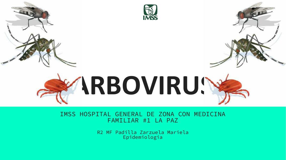 ARBOVIRUS 1.1 | mariela | uDocz
