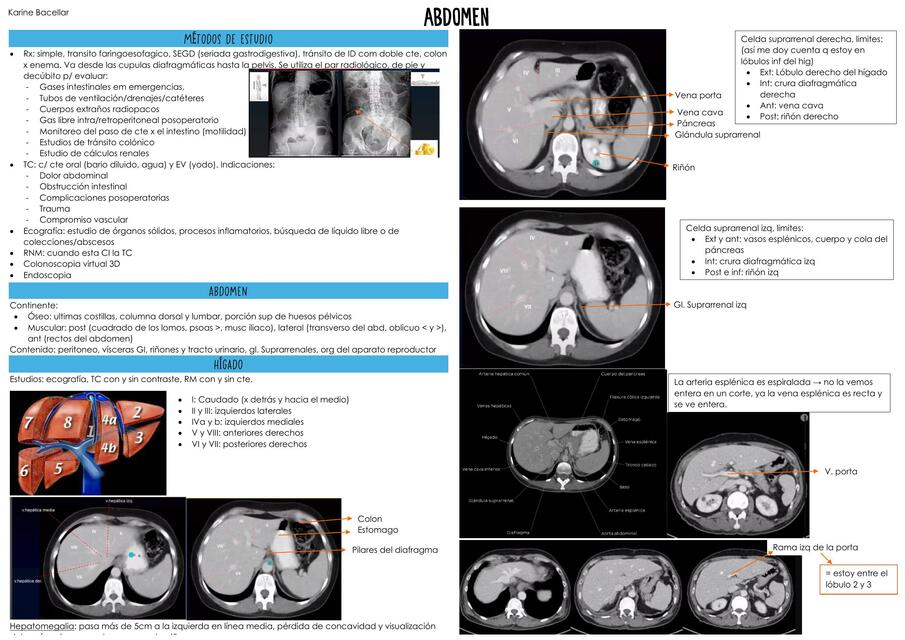 ABDOMEN | Karine Bacellar | uDocz