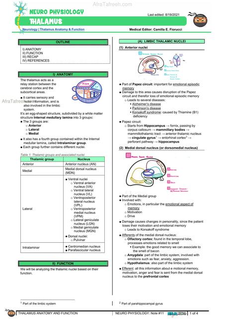Thalamus Anatomy Function atf | Remon Osama | uDocz