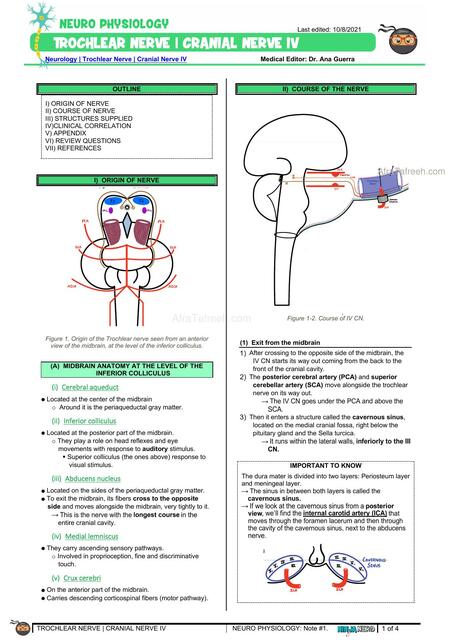 Trochlear Nerve Cranial Nerve IV atf | Remon Osama | uDocz