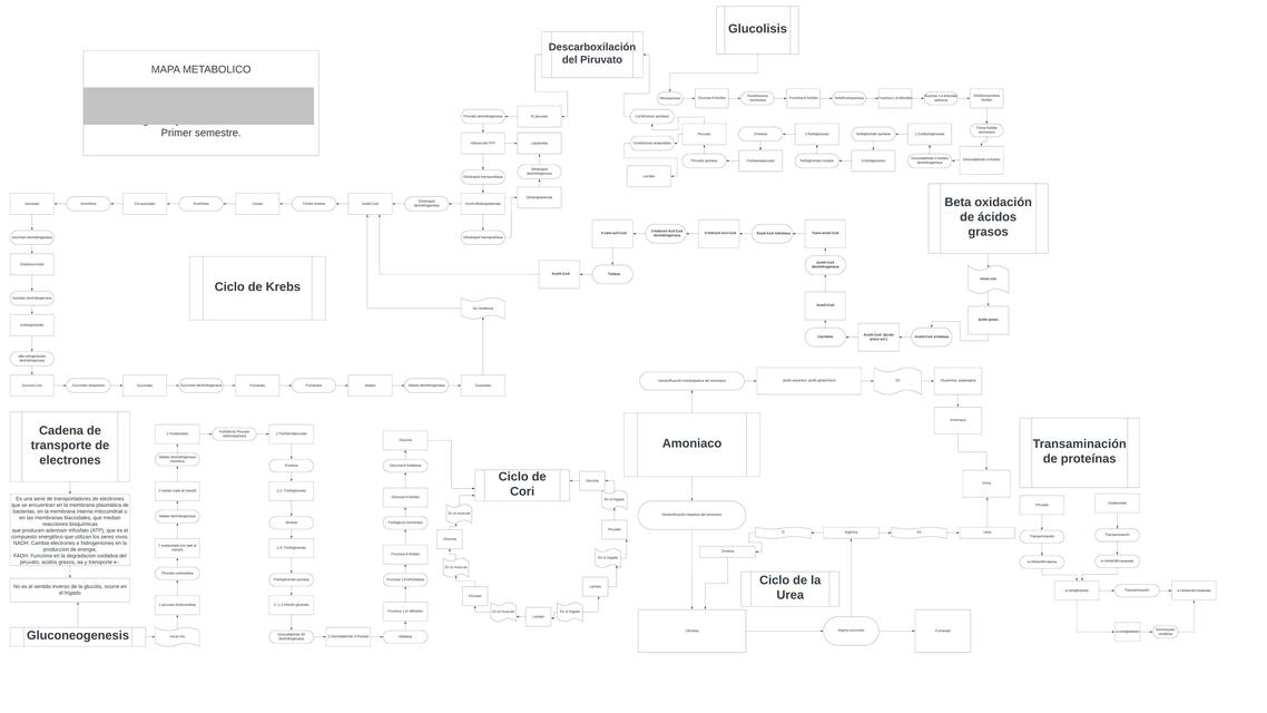 Rutas metabólicas | Luisa | uDocz