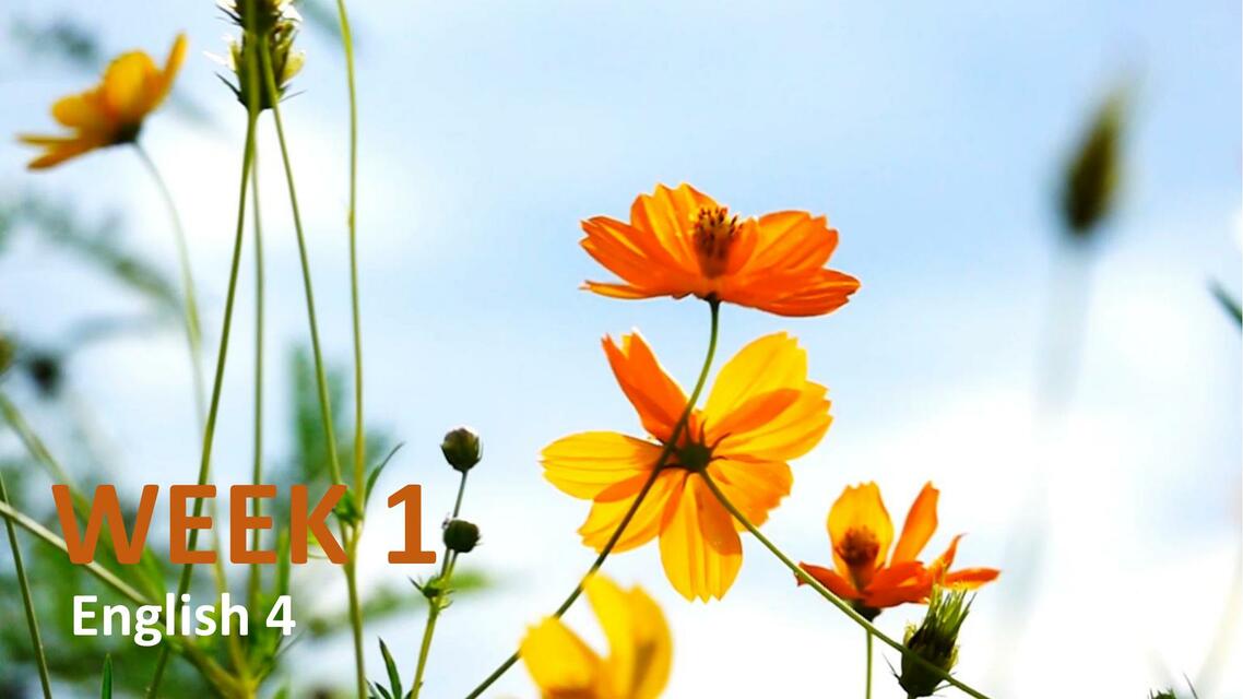 Week 1 Unit 1 | Ximena | uDocz