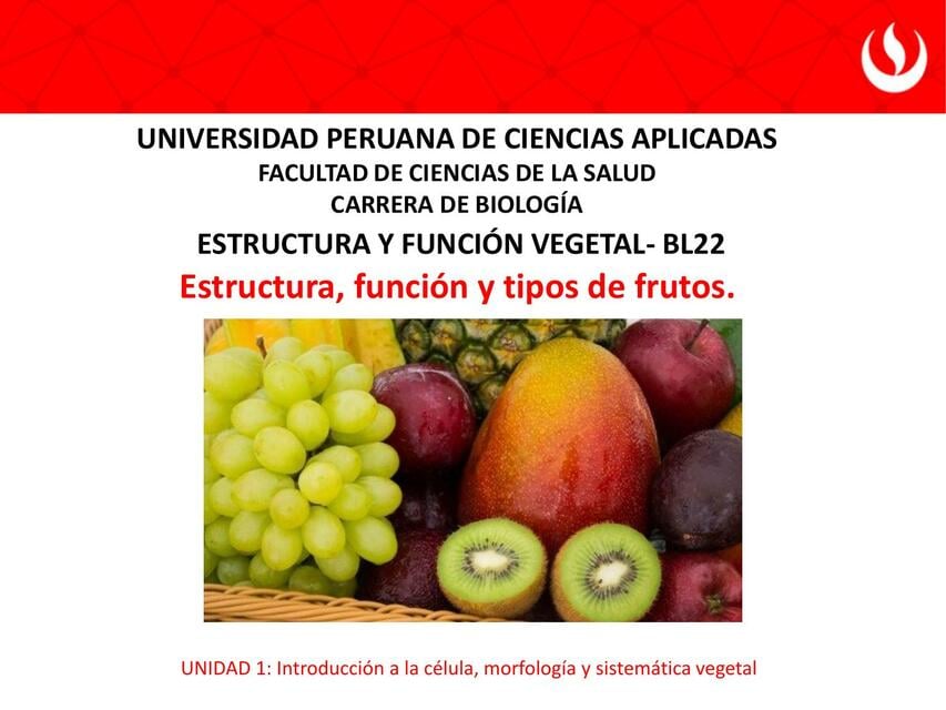 S5 Te02 Frutos estructura función tipos | Jose | uDocz