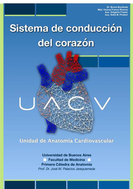 UACV Sistema de conduccion | gaston | uDocz