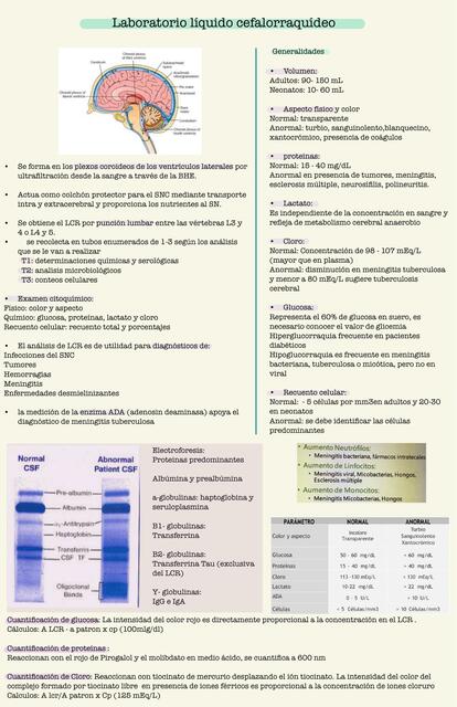 Lab LCR | Sofia Bernal | uDocz