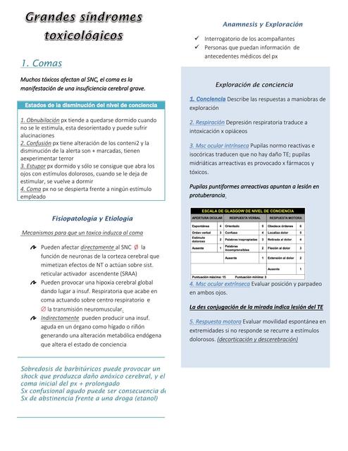 Comas | Dr. Bernabé | uDocz