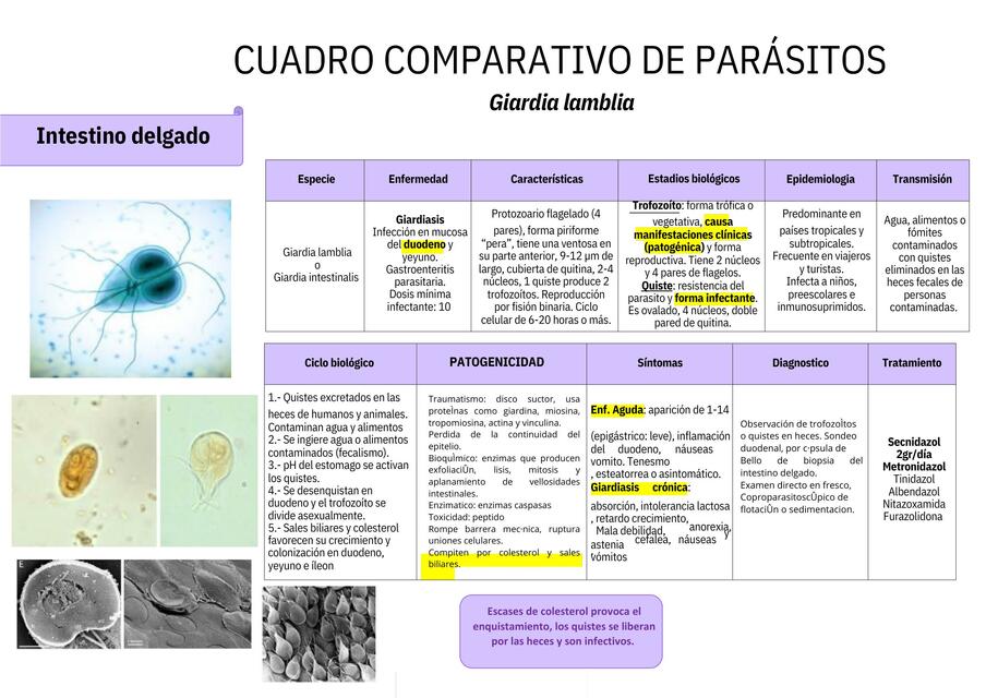 Tabla de parásitos | Jimena Vegamonte Alcocer | uDocz