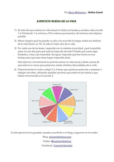 Ejercicio rueda de la vida | META | uDocz