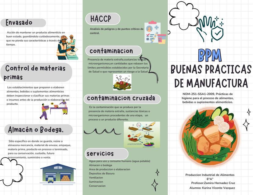 Folleto Buenas Practicas de Manufactura | Vicente | uDocz