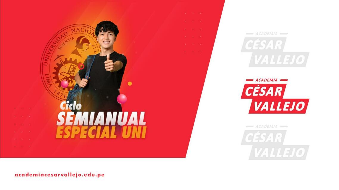 Periodo ontológico II | Briseida | uDocz