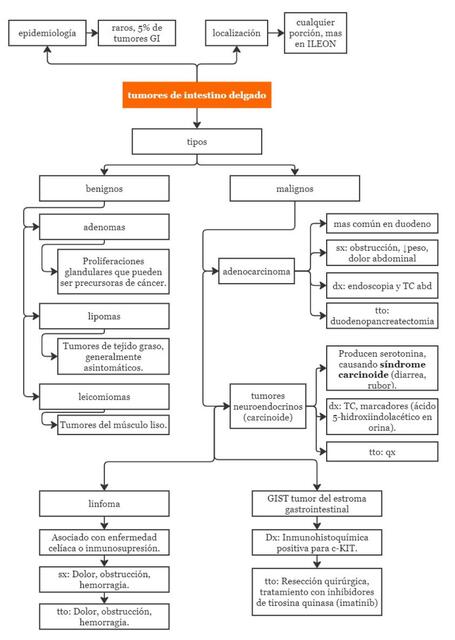 mapas tumores de intestino delgado | linfocitoa | uDocz
