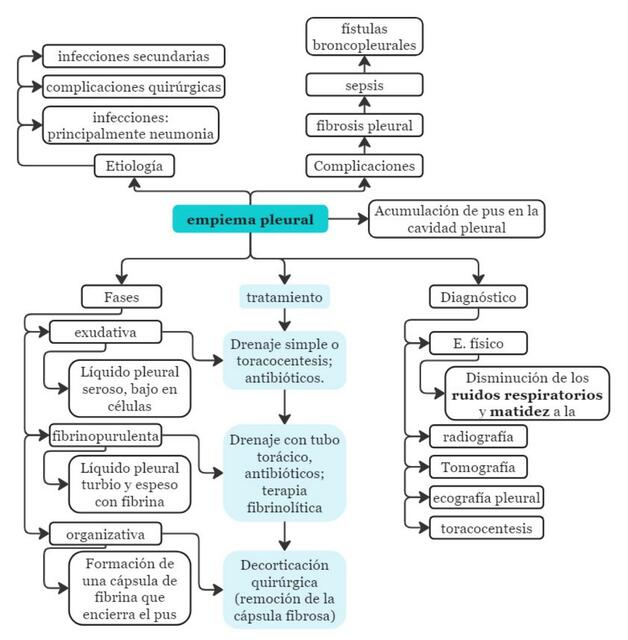 mapas empiema pleural | linfocitoa | uDocz