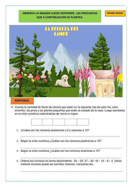 ORDENAMIENTO DE NUMEROS - ejercicio | Material para docentes | uDocz