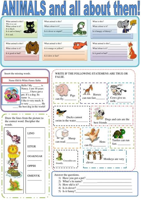 Animals and all about them! | META | uDocz