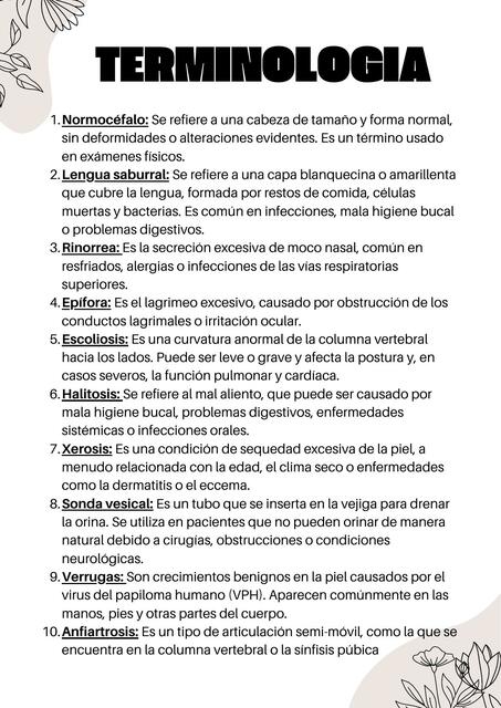 TERMINOLOGIA | ROCIO ISABEL | uDocz