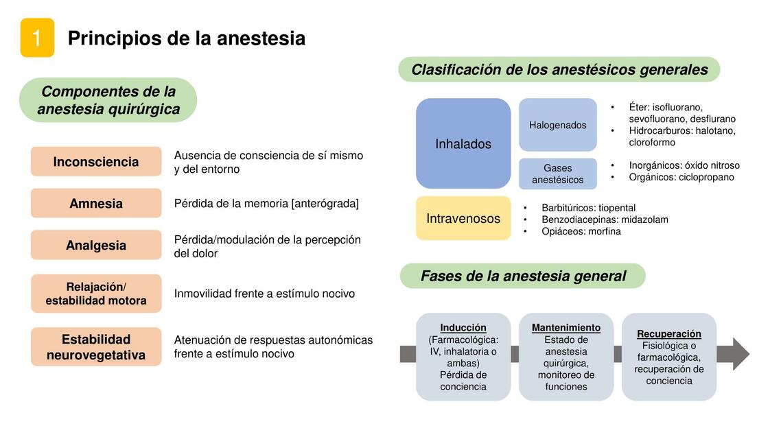Principios de la anestesia | Dr. Cito | uDocz