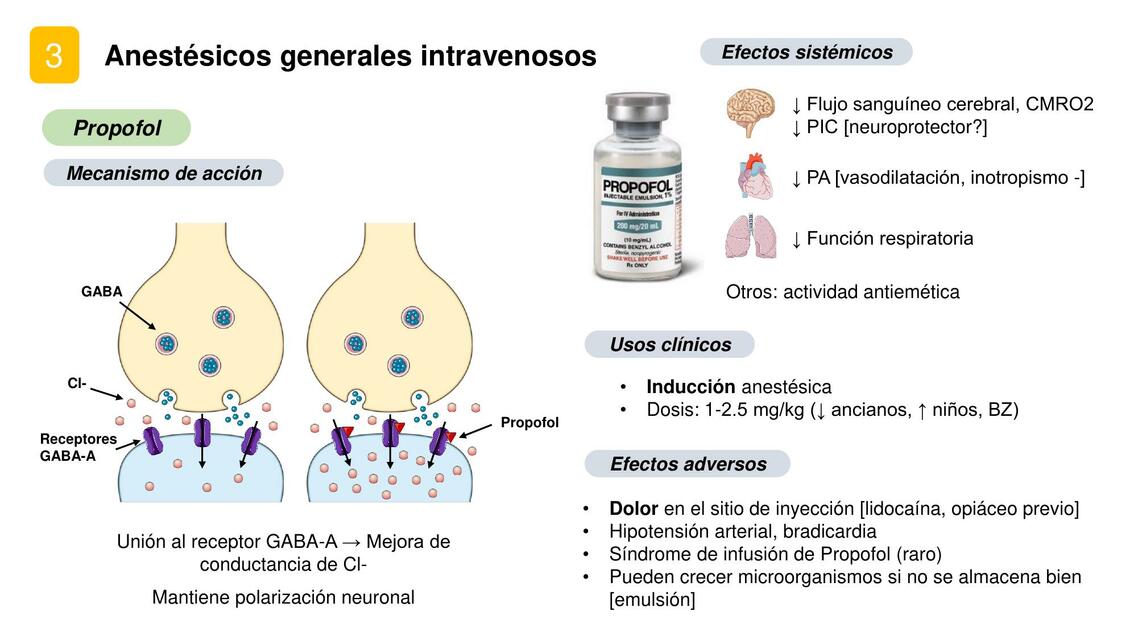 Anestésicos generales intravenosos | Dr. Cito | uDocz