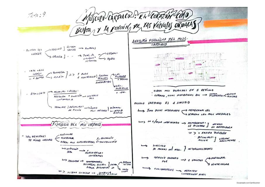 UNIDAD III FISIOLOGIA GUYTON (Resumen) | MARIA RENE GARCIA DELGADILLO ...