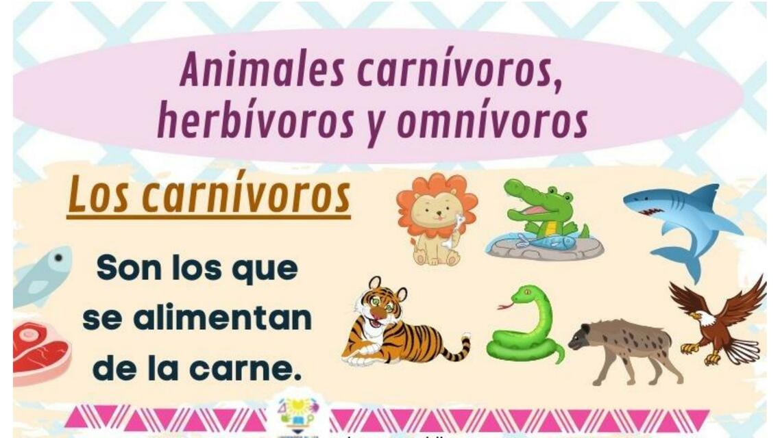 ¿Qué comen los animales? | Alessa Soto | uDocz