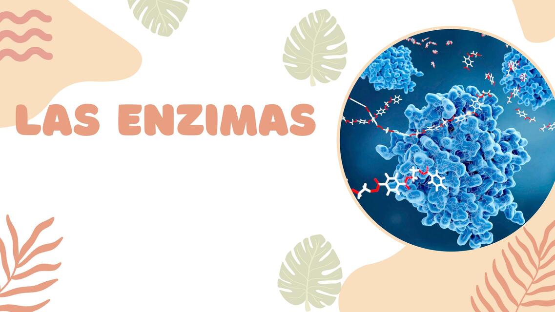 Enzimas PPT | Aureal | uDocz