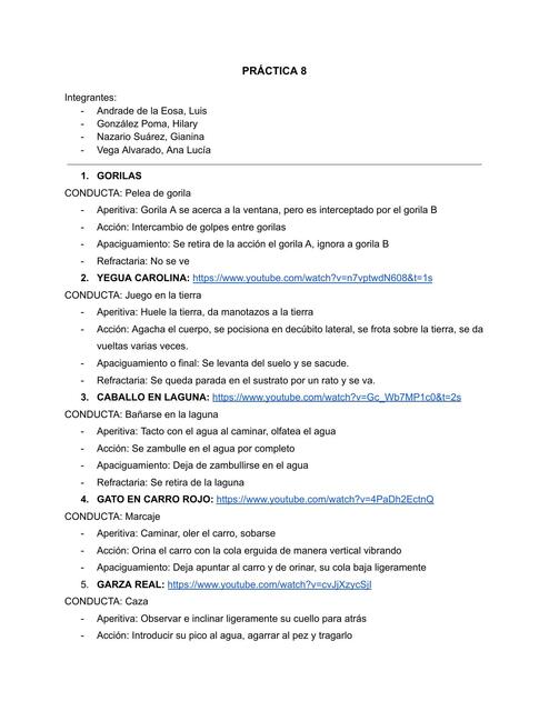 PRÁCTICA 8 | Ana | uDocz