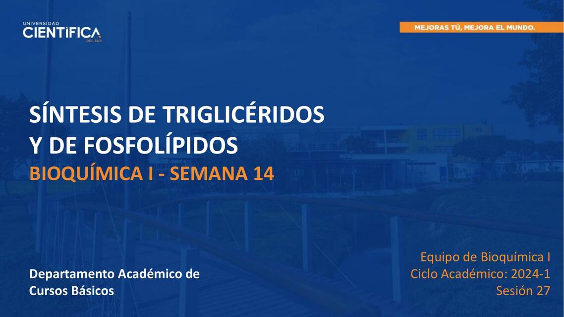 PPT BIOQUÍMICA I SEM 14 SESIÓN 27 1 | Ana | uDocz