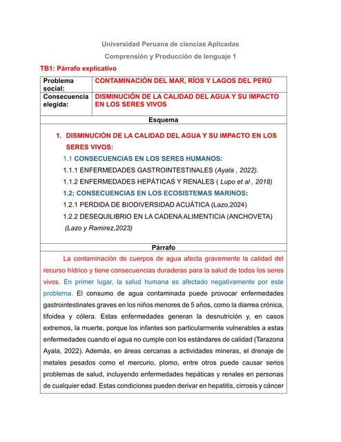 TB1 JORGE LUIS CASTILLO DURAND SV1D | uDocz