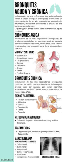 Infografía sobre la bronquitis aguda y crónica | Levii | uDocz
