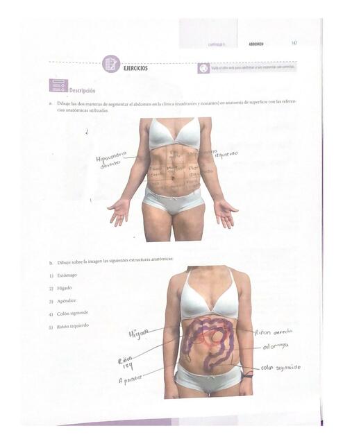 ABDOMEN | yeni sanchez | uDocz