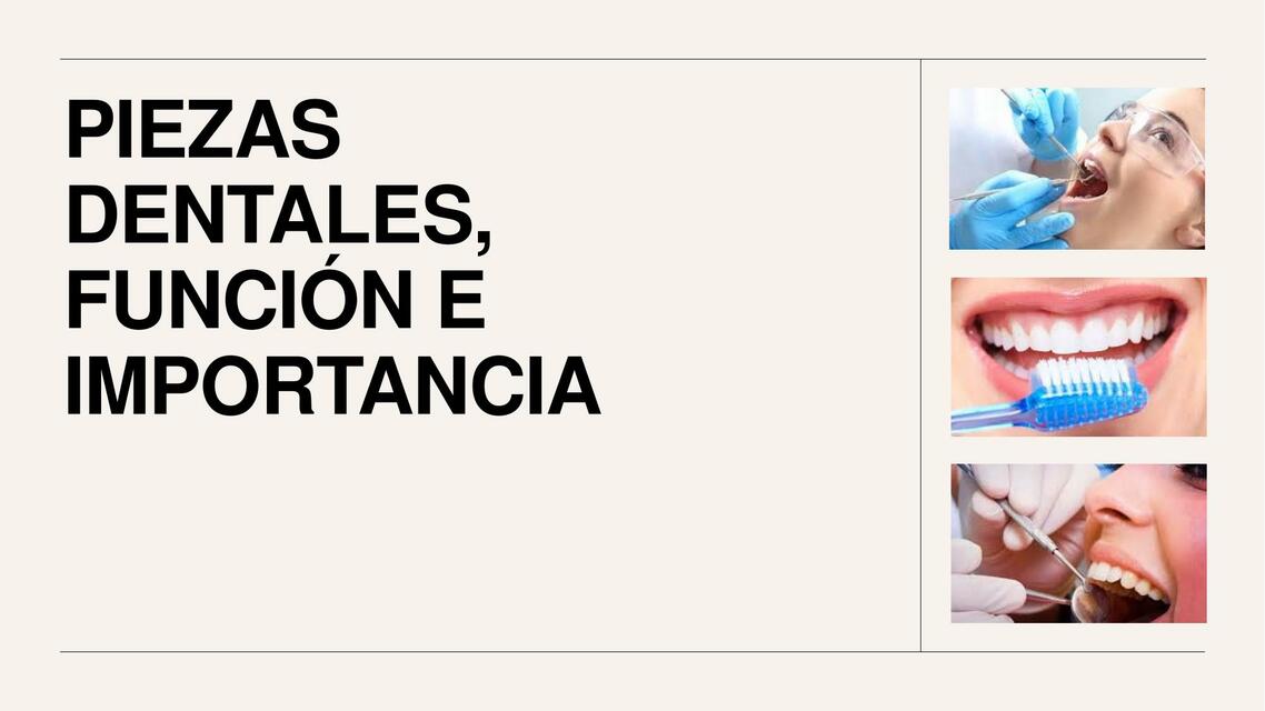 ppt de piezas dentales | Juneth | uDocz