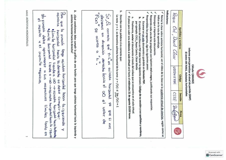 CS2E Roque Ore David Cesar | uDocz