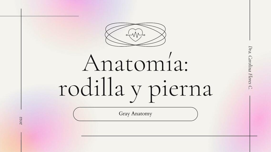 Anatomía Rodilla y Pierna GCZ | Gabriela Campos | uDocz