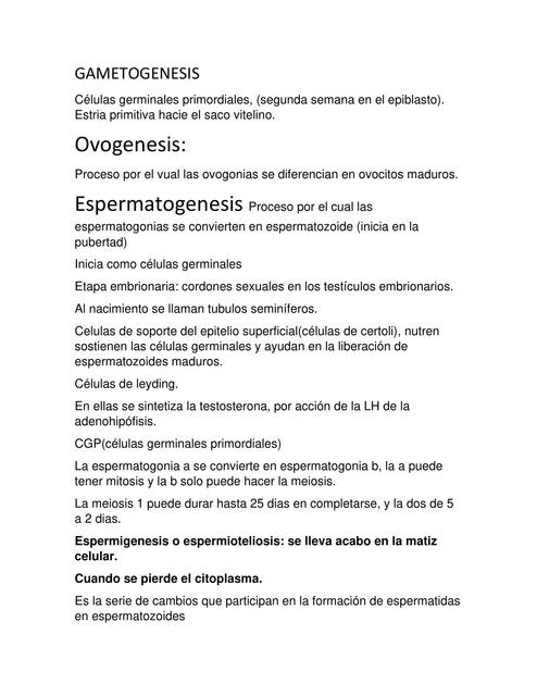 GAMETOGENESIS | HAZEL FERNANDA PEREZ CASTILLO | uDocz