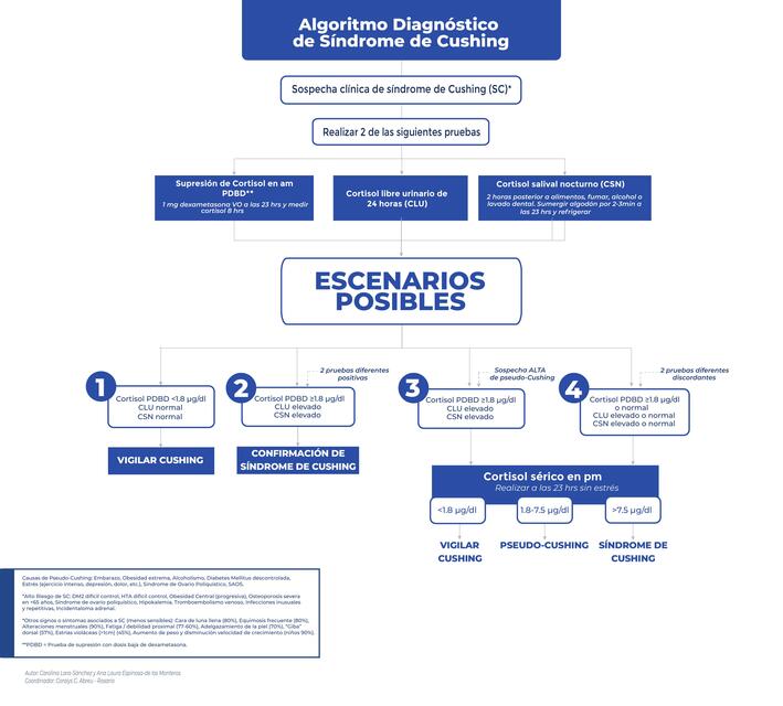 Algoritmos diagnóstico de síndrome de cushing | Alondrita Truga | uDocz