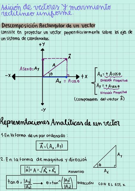 Fisica | Esther | uDocz